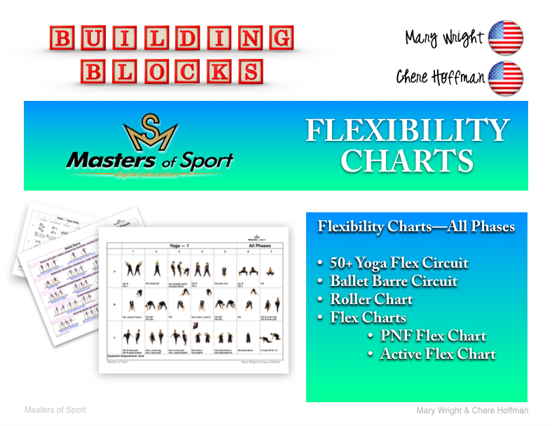 Flexibility Circuits and Charts | Masters of Sport